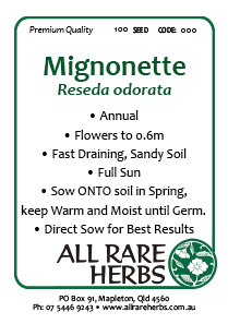 Mignonette, seed | All Rare Herbs